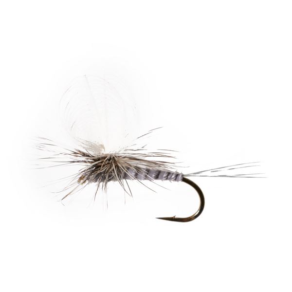 Montana Fly Company CDC Loop Wing Dun Dry Fly - Dozen - Save 60%