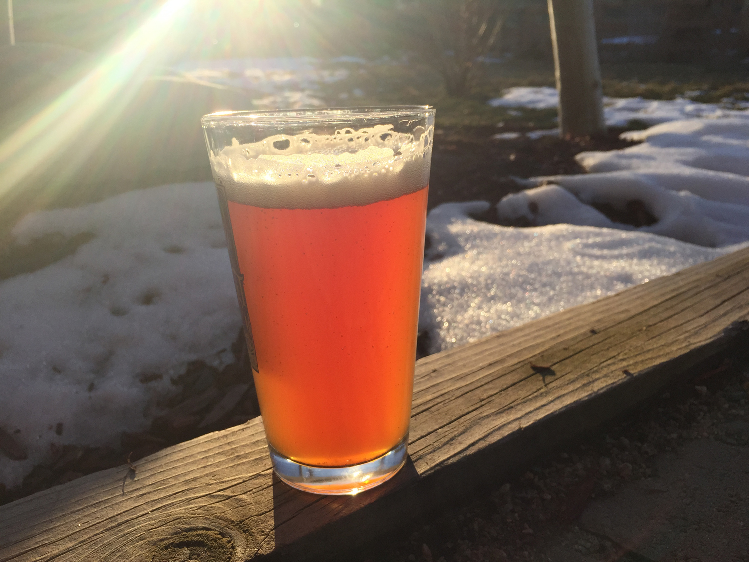 10 Best Outdoor Themed Beers | Sierra Blog