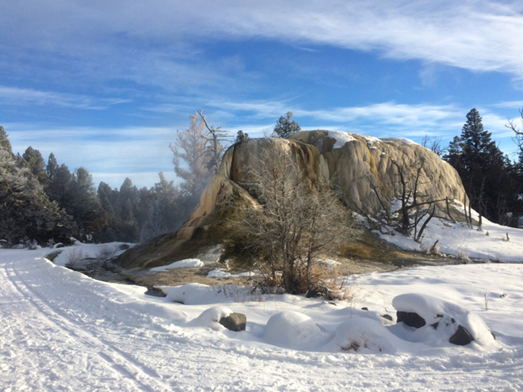 Feeling Sick? Get Outside | Sierra Blog