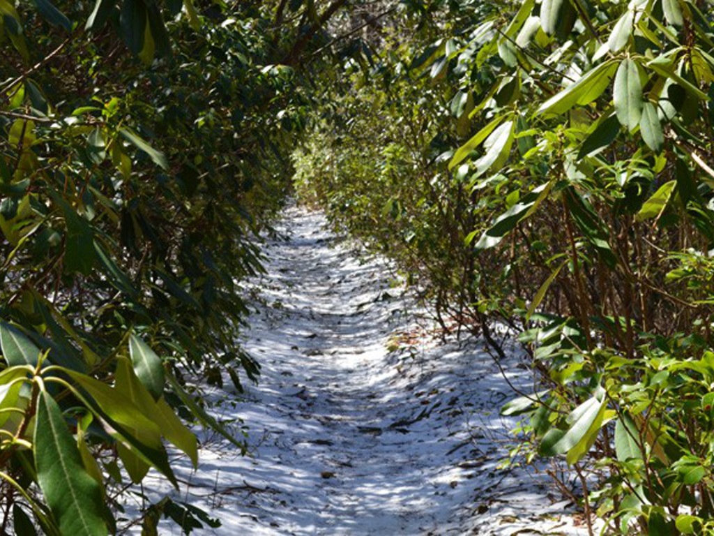 Spring Hiking: Because Any Weather is Good Hiking Weather | Sierra Blog