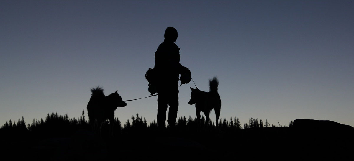 How to Know Your Trail Dog Has Been Pushed too Far | Sierra Blog