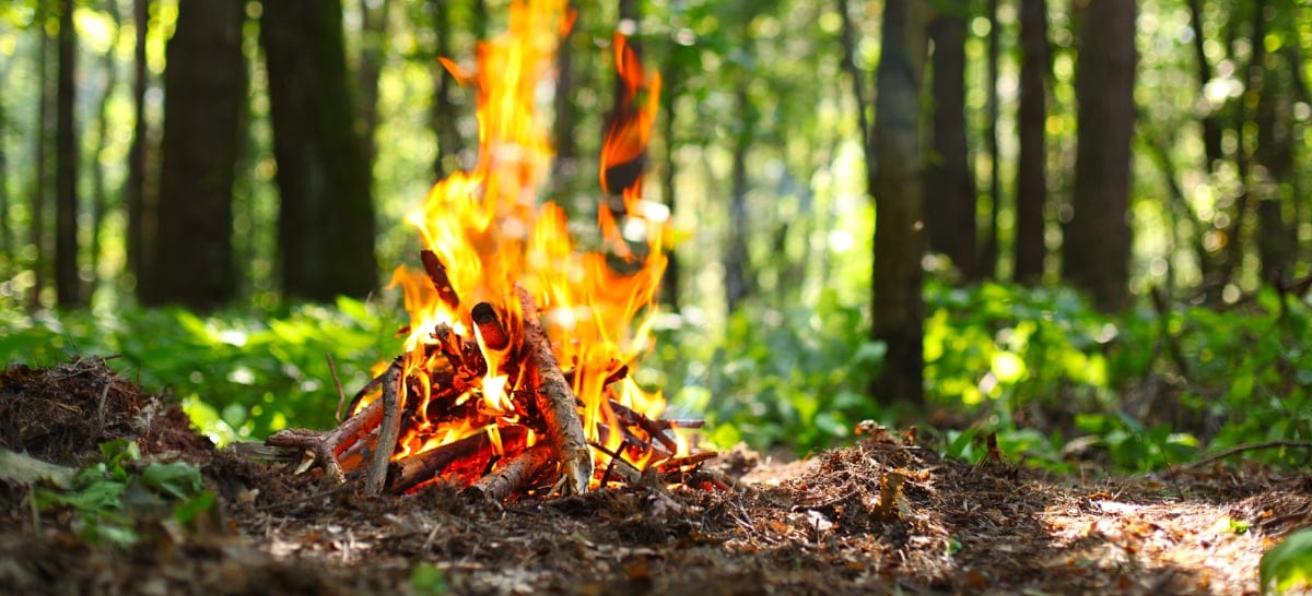Keep that Flame Tame: Campfire Safety Tips | Sierra Blog