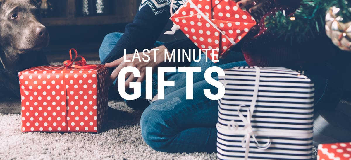 5 Last-Minute Gifts You'll Want to Keep for Yourself | Sierra Blog